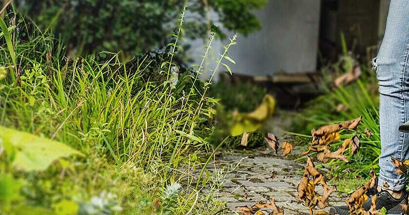 Potente soplador de hojas para uso móvil y rápido | Einhell.co